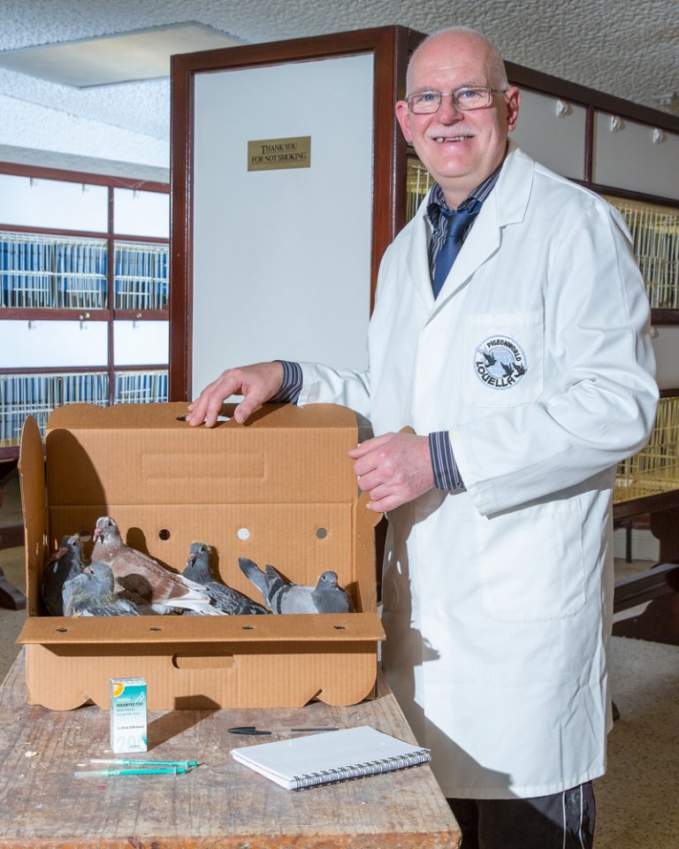 About us – Louella Pigeon World